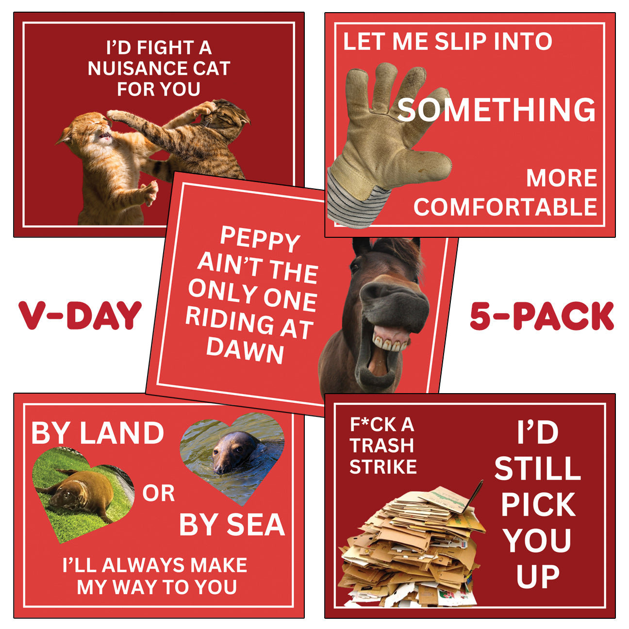 Entering Beverly Valentine's Day Card 5-Pack (2026) – Sully's Brand